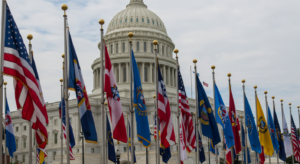 United States Colors: From Red, White, and Blue to Diverse Cultural ...